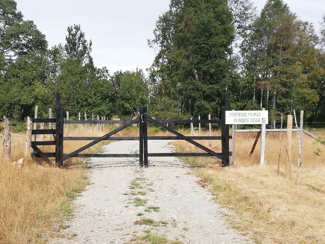 Parcela en Venta en Villarrica, parcela con bosque cerca de colegio ingles