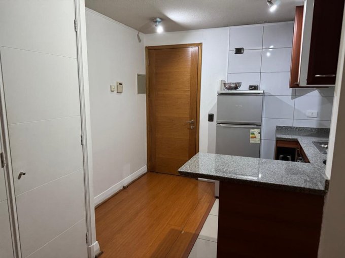 Departamento en Arriendo en Providencia, Pedro de valdivia - providencia