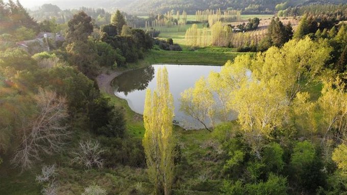 Sitio en Venta en Ránquil, San Ignacio de Palomares