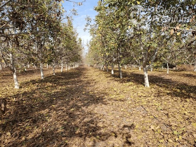 Parcela en Venta en Colina, Santa Teresa con El Colorado, Colina