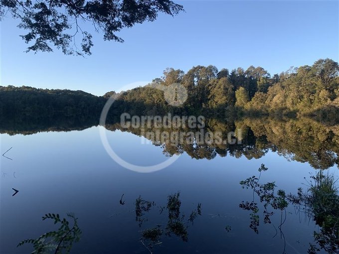 Parcela en Venta en Puerto Octay, 10 minutos de Puerto Fonck, frente a ...
