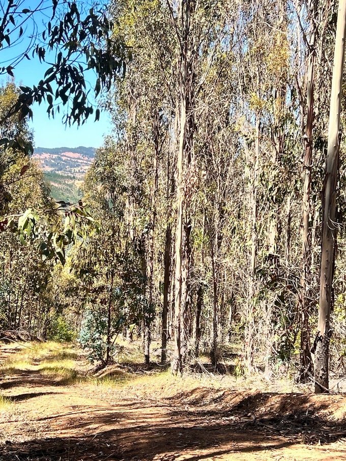 Terreno Industrial en Venta en Pichilemu, Espinillo