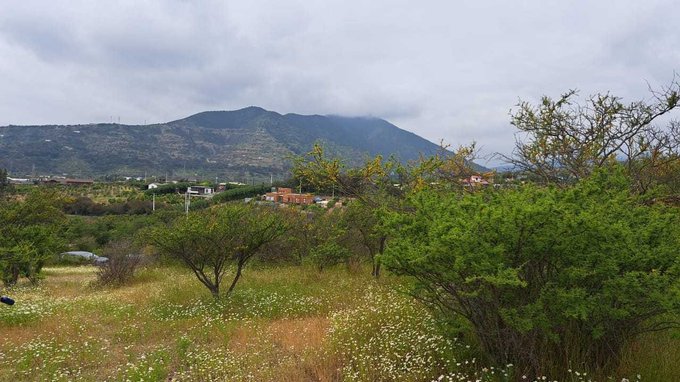 Terreno en Venta en Quillota, Vende sitio 7000 mts, San Pedro Quillota ...