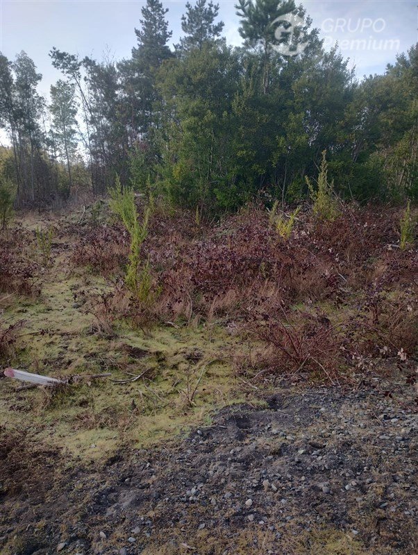 Parcela en Venta en Yungay, Union Campesina - campanario