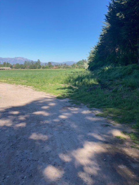 Sitio en Venta en Paine, Gran oportunidad - Cod: 121579568