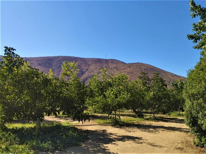 Terreno en Venta en Curacaví, Av el Toro / Condominio el Pangal