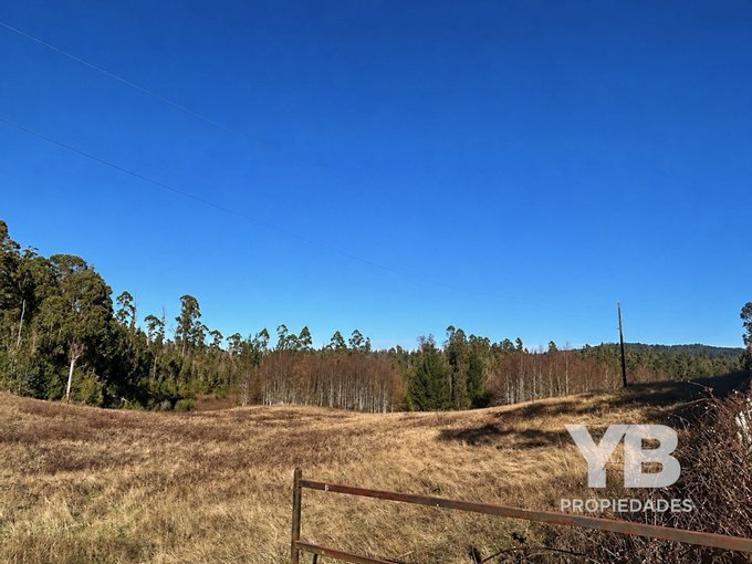 Terreno en Venta en Gorbea, Sexta faja - Cod: 122687030
