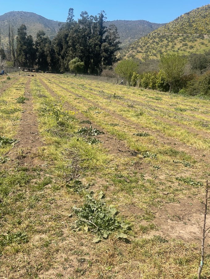 Terreno en Venta en Paine, Oportunidad se vende terreno plano rol ...