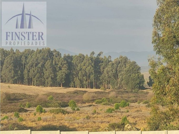 Terreno en Venta en Quintero, Camino Quintero Ritoque