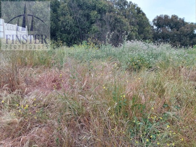 Terreno en Venta en Quintero, Carretera F218