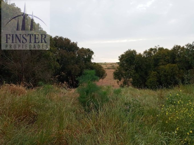 Terreno en Venta en Quintero, Carretera F218